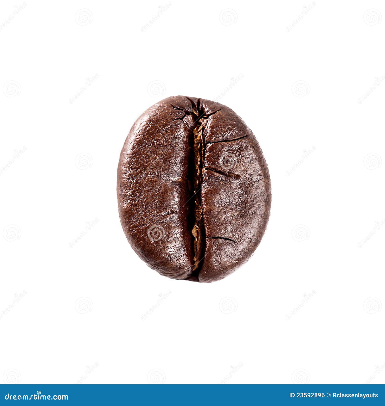 Brown Single Coffee Bean stock photo. Image of breakfast - 23592896 Brown Single Coffee Bean stock photo. Image of breakfast - 23592896