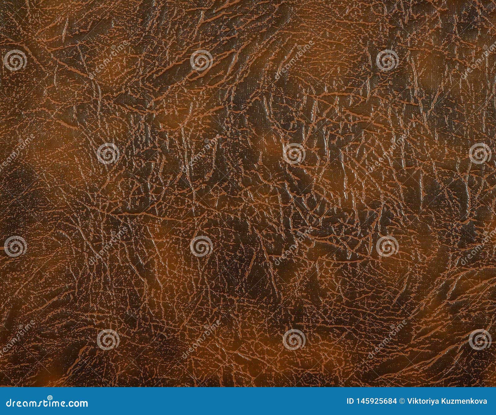Brown Skin Texture. Close Up Stock Photo - Image of dark, light: 145925684