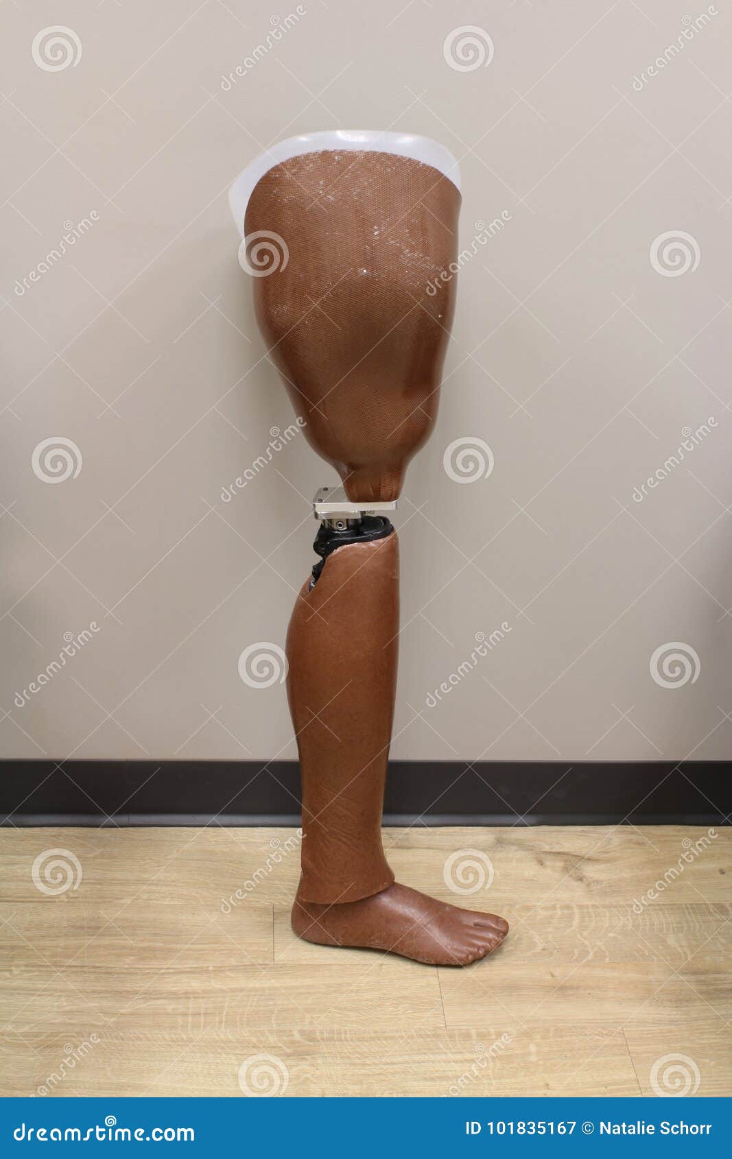 Brown Skin Tone Prosthetic Let and Foot with Knee Joint and Socket ...