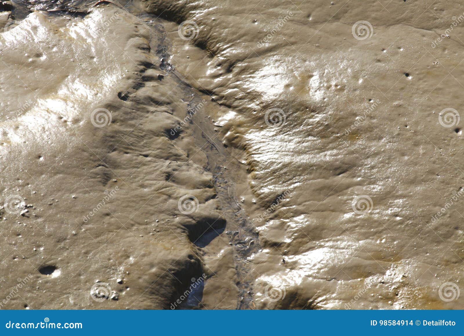 Brown sludge stock photo. Image of water, channel, outside - 98584914