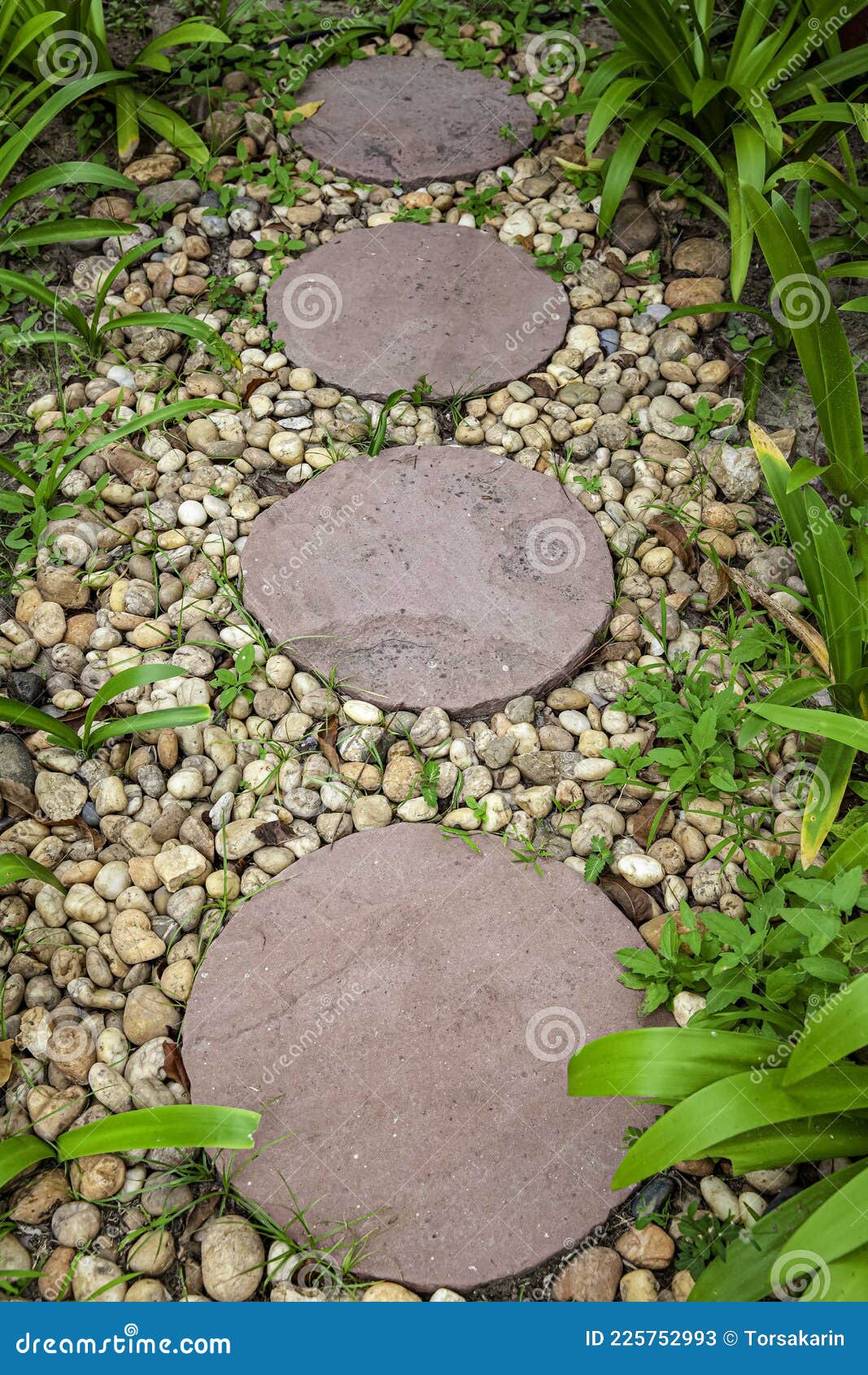 Smooth Granite Slabs for Garden Paths Stock Image - Image of brown ...