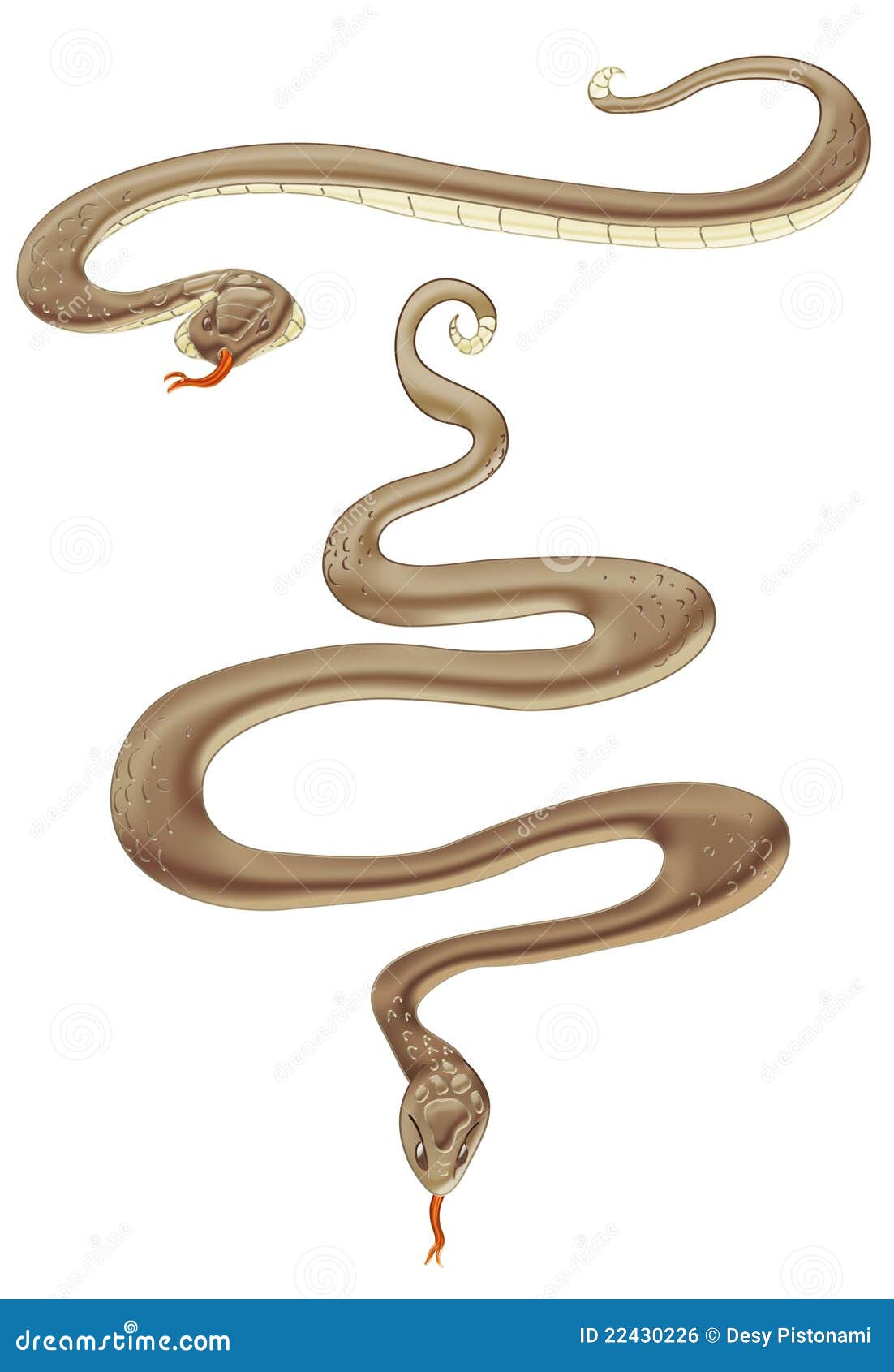 Brown Snake Isolated On White Created With Generative AI. Big Wild ...