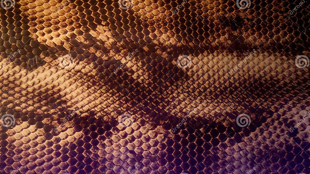 Brown Snakeskin Texture, Reptile Scale Pattern High Quality Image Stock ...