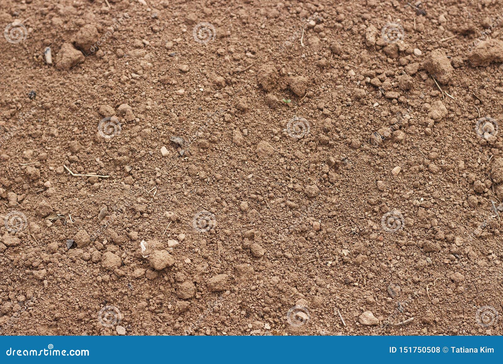 Brown Soil Close Up, Texture, Natural Background, View from Above Stock ...