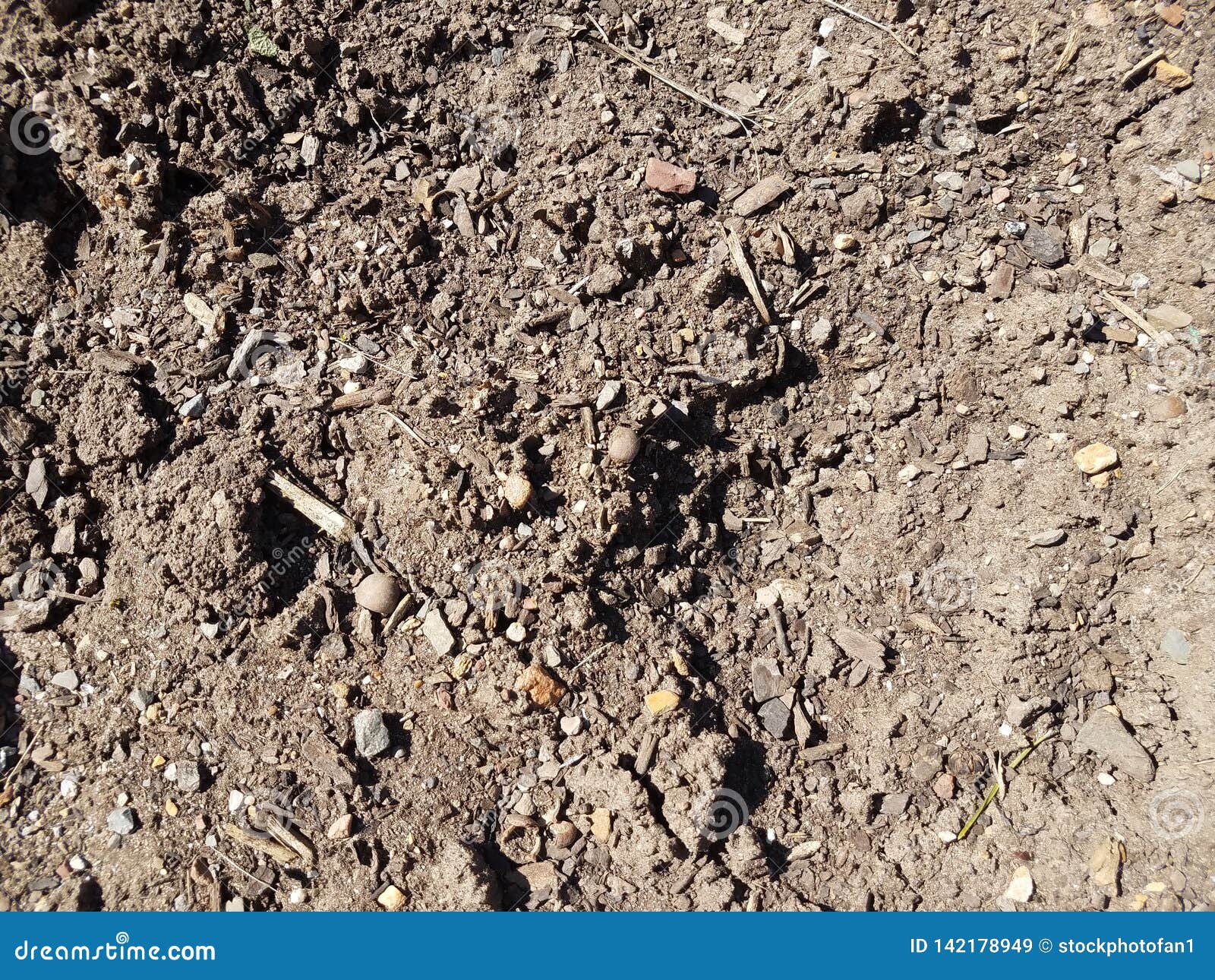 Brown Soil or Dirt with Rocks and Sticks Stock Image - Image of ground ...