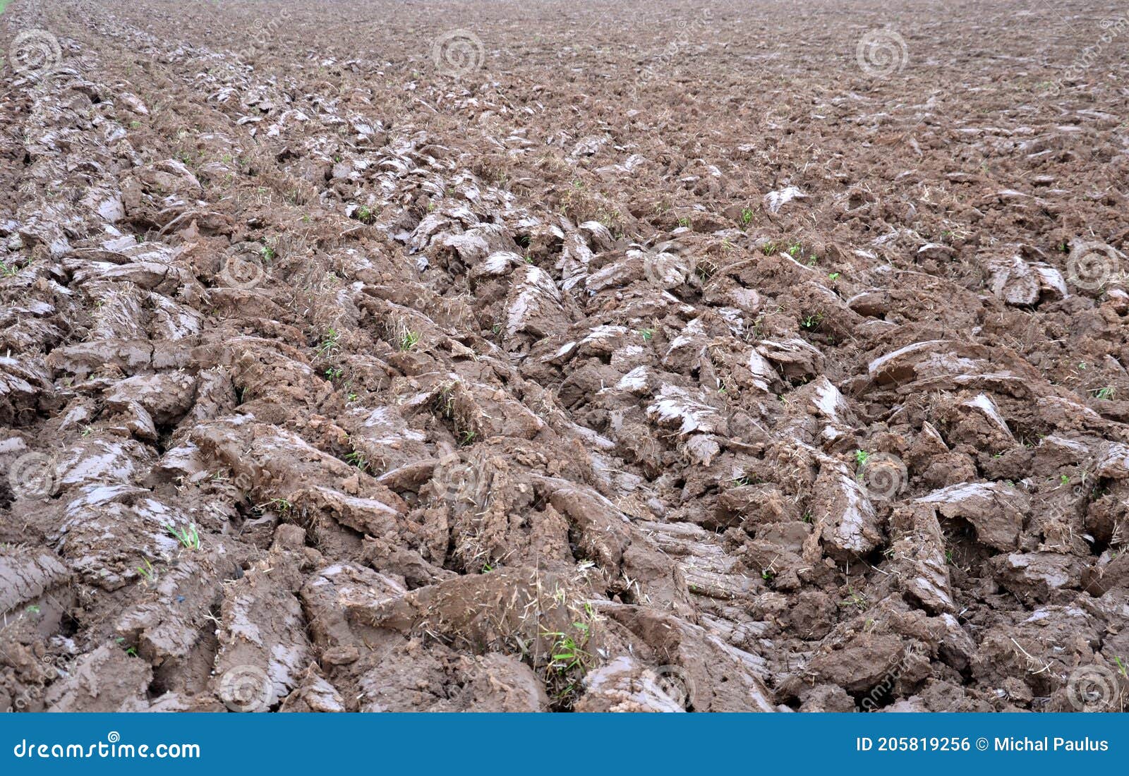 Soil Plain Texture Background Royalty-Free Stock Photo | CartoonDealer ...