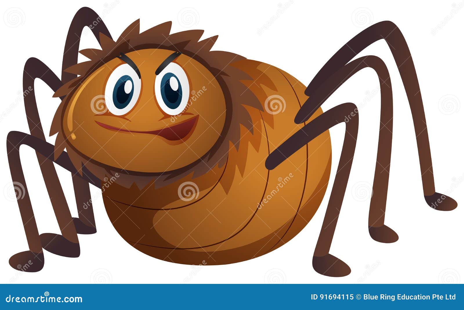Brown Spider on White Background Stock Vector - Illustration of mammal ...
