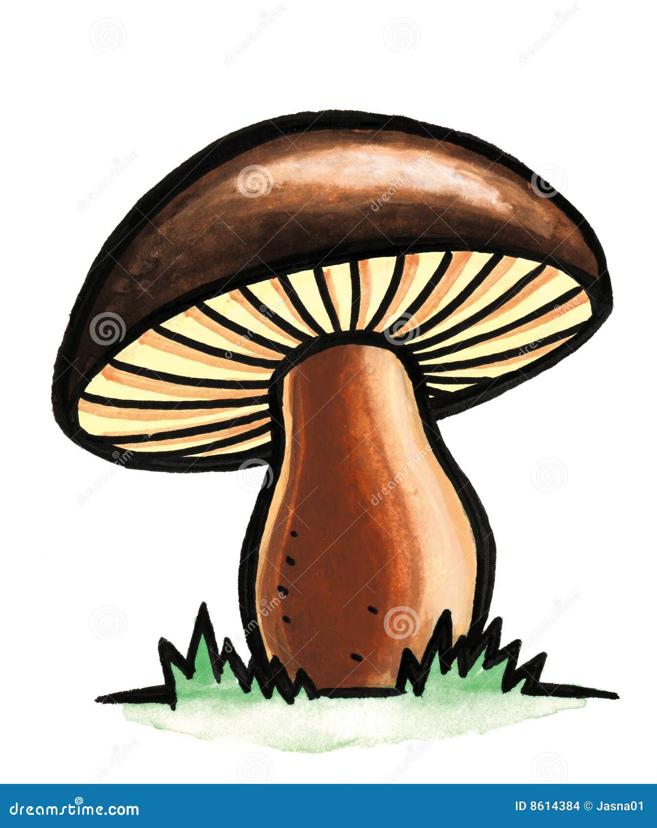 Brown sponge on meadow stock illustration. Illustration of mushroom ...