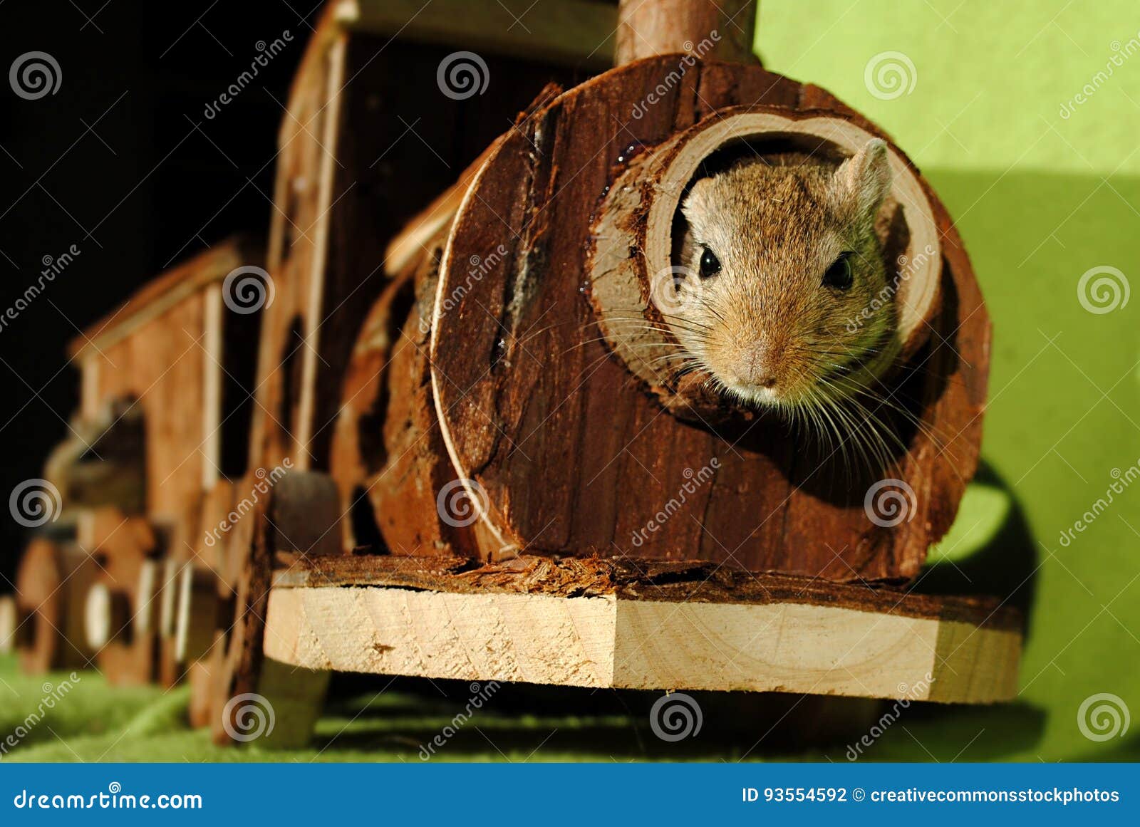 Brown Squirrel Inside Of Brown Wooden Train Miniature Picture. Image ...