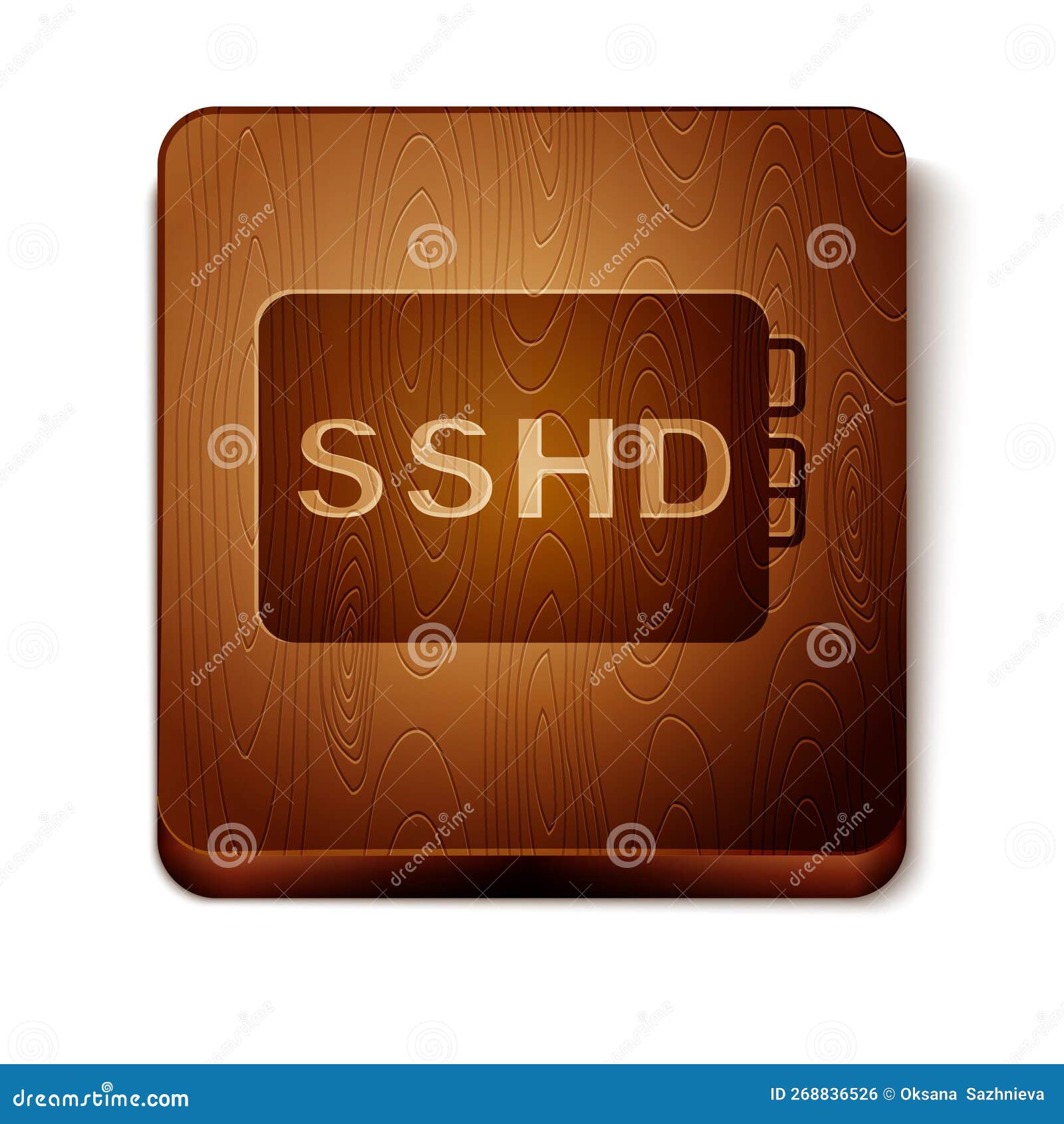 Brown SSHD Card Icon Isolated on White Background. Solid State Drive ...