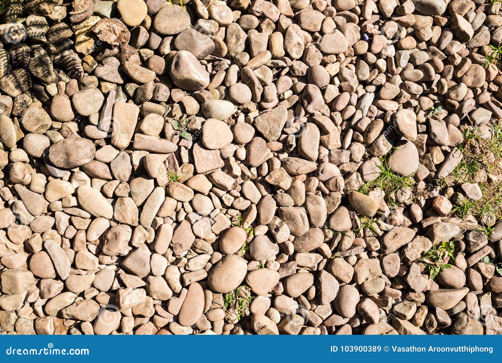 Brown Stone on a Ground Floor with Some Weed Stock Image - Image of ...