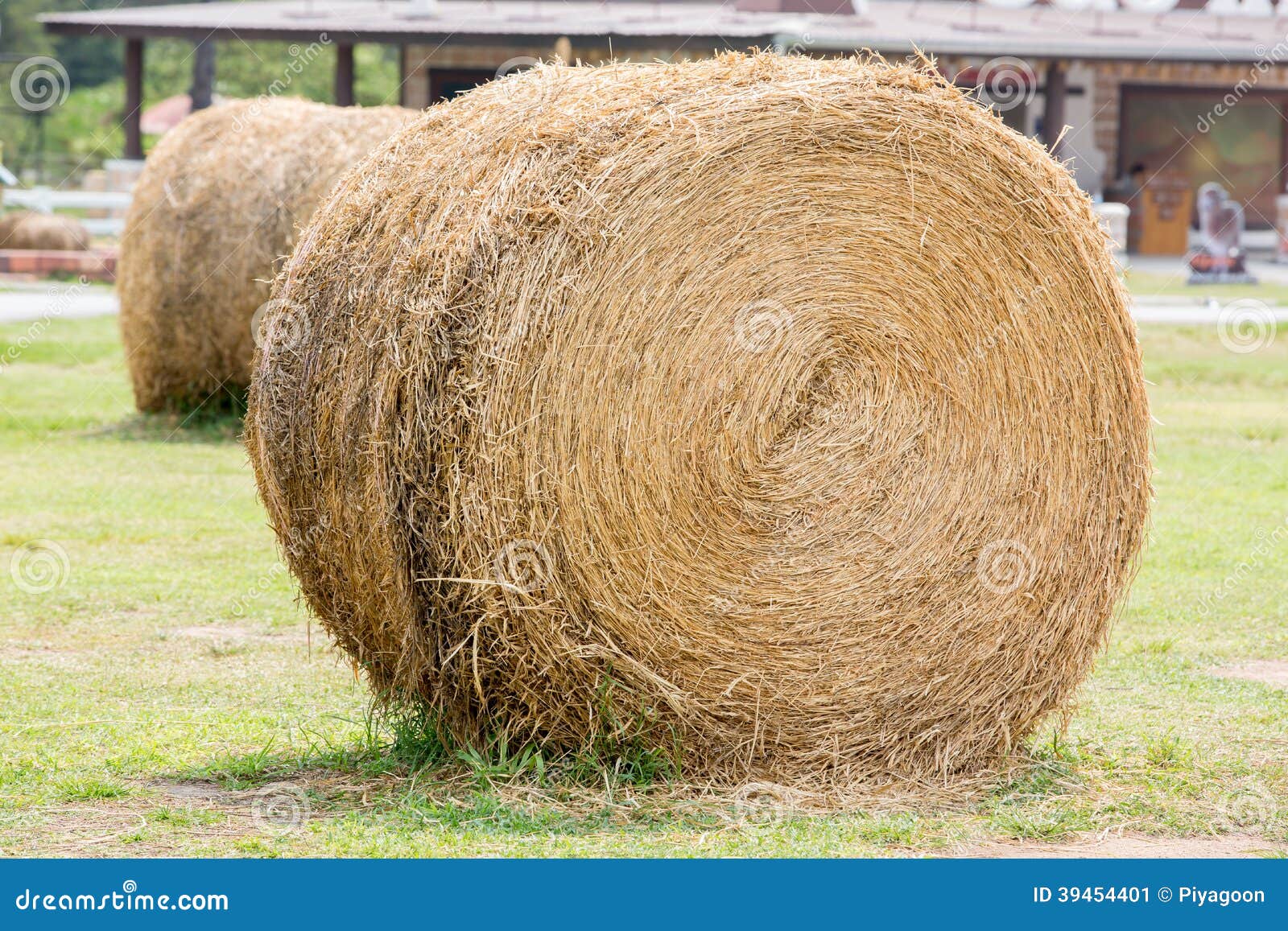 Brown Straw stock image. Image of summer, crop, rural - 39454401
