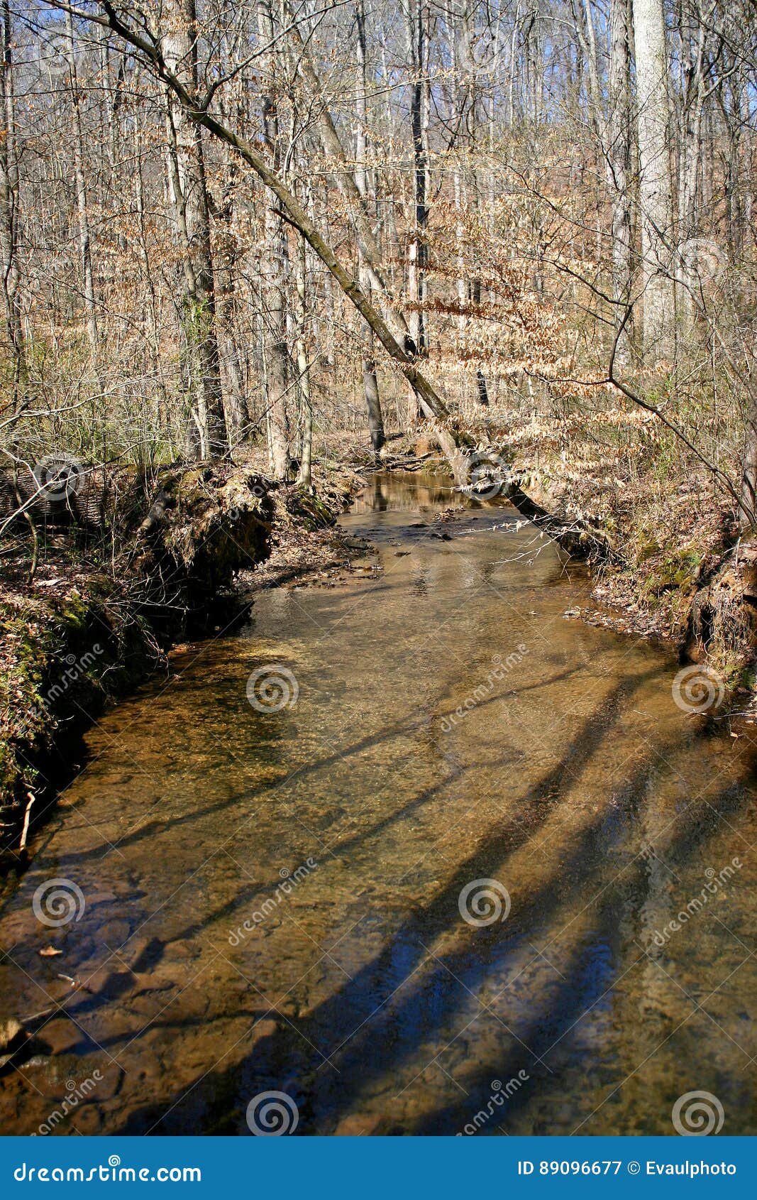 Brown Stream vertical stock image. Image of ripple, vertical - 89096677