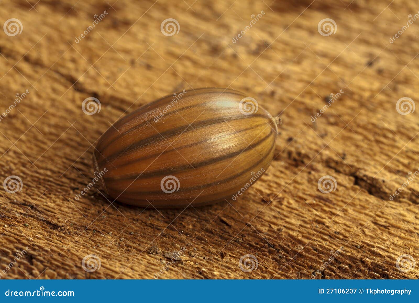 Not sure where else to post this, but what kind of nut is this? Found ...