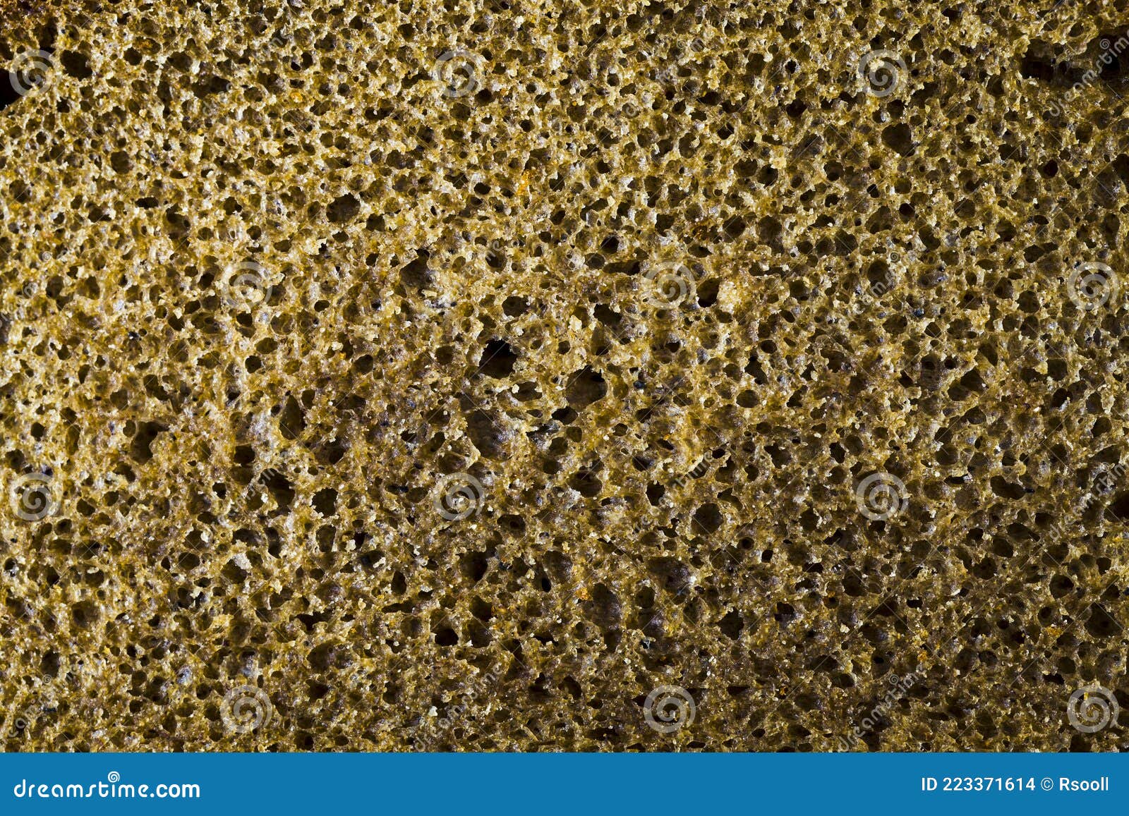 Structure of bread stock photo. Image of flour, baked - 223371614