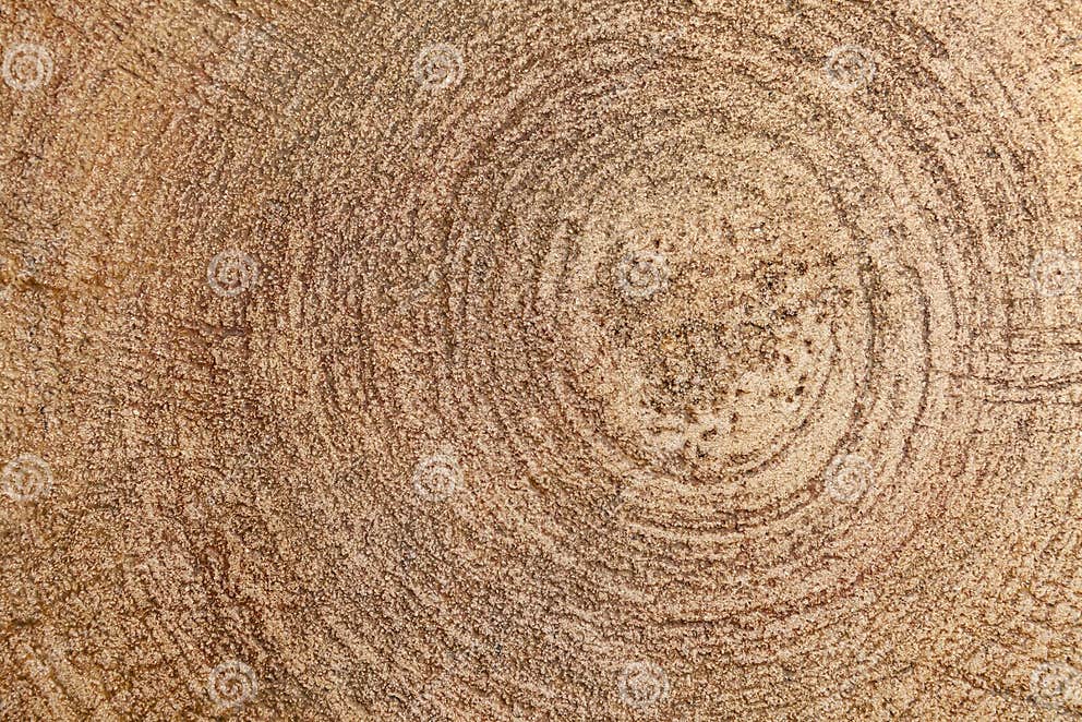 Brown Stump Pattern Texture and Background Seamless Stock Image - Image ...