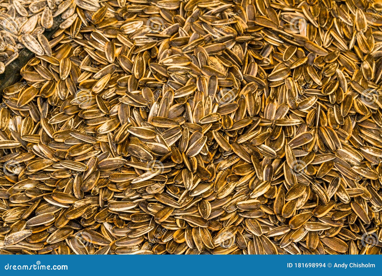 Brown Sunflower Seeds Forming Background Stock Photo - Image of shell ...