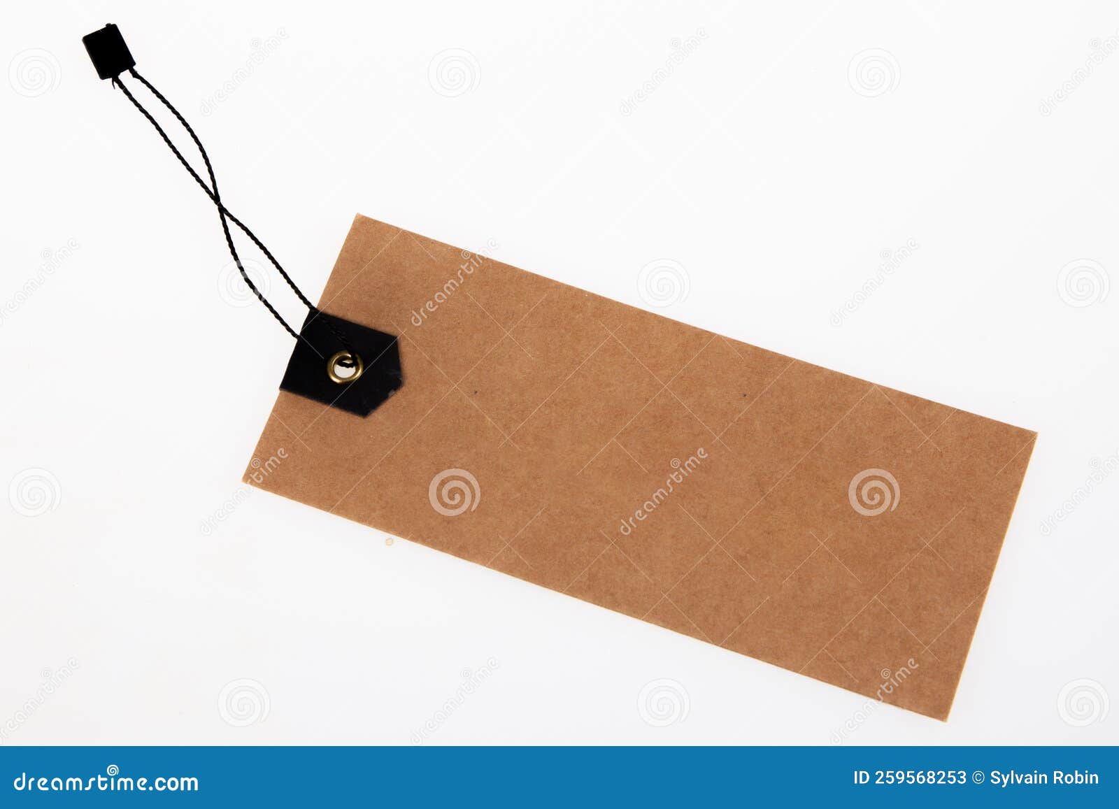 Brown Tag with Empty String Label Empty Mockup Isolated in White ...