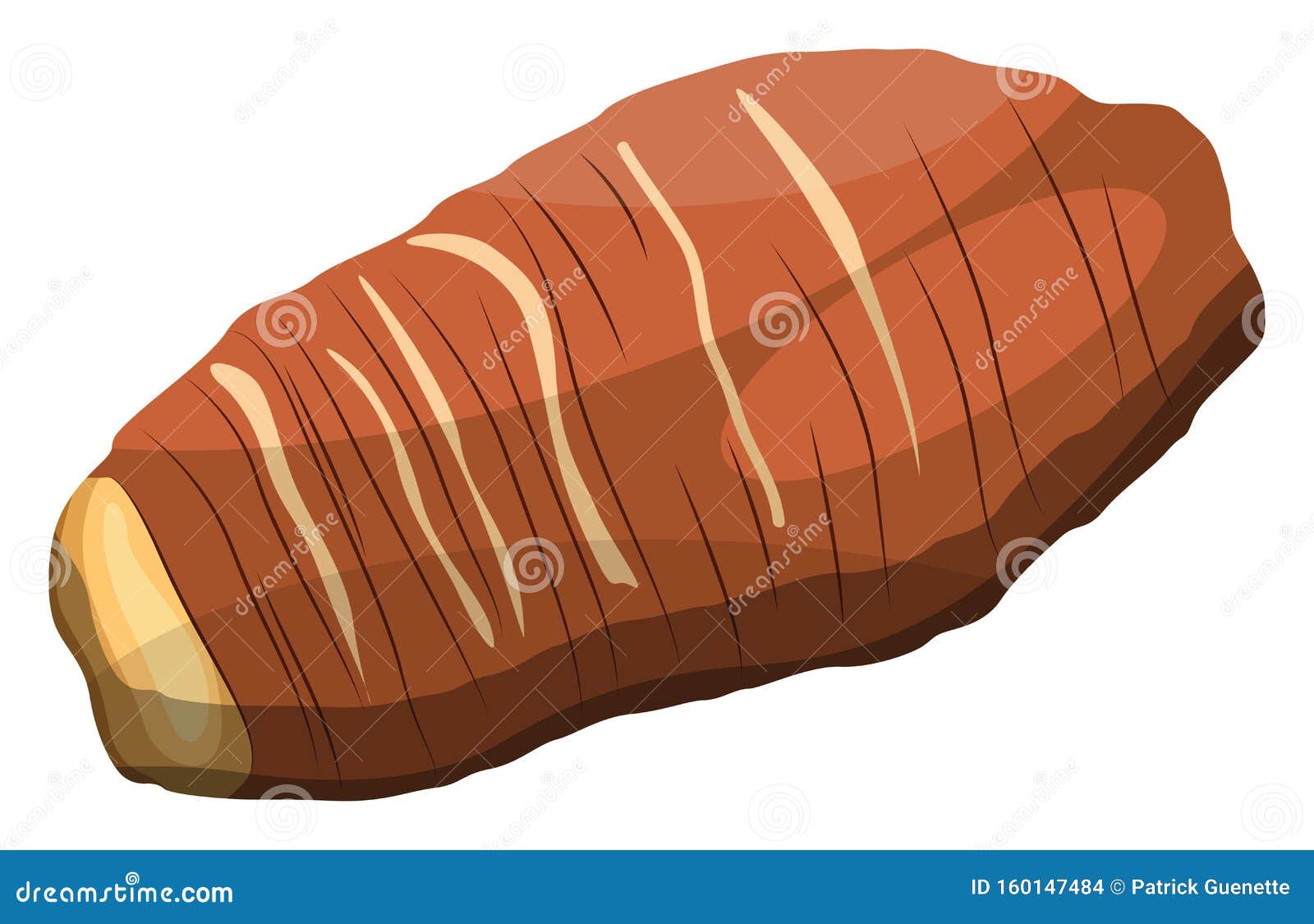 Taro Root. Colocasia Esculenta. Hand Draw Sketch Cartoon Vector ...