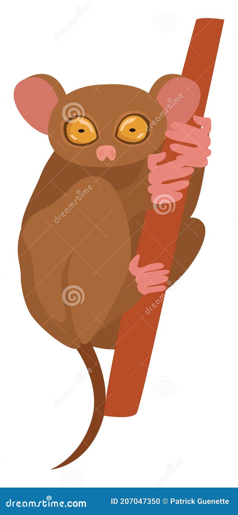 Brown Tarsius, Illustration, Vector | CartoonDealer.com #207047350