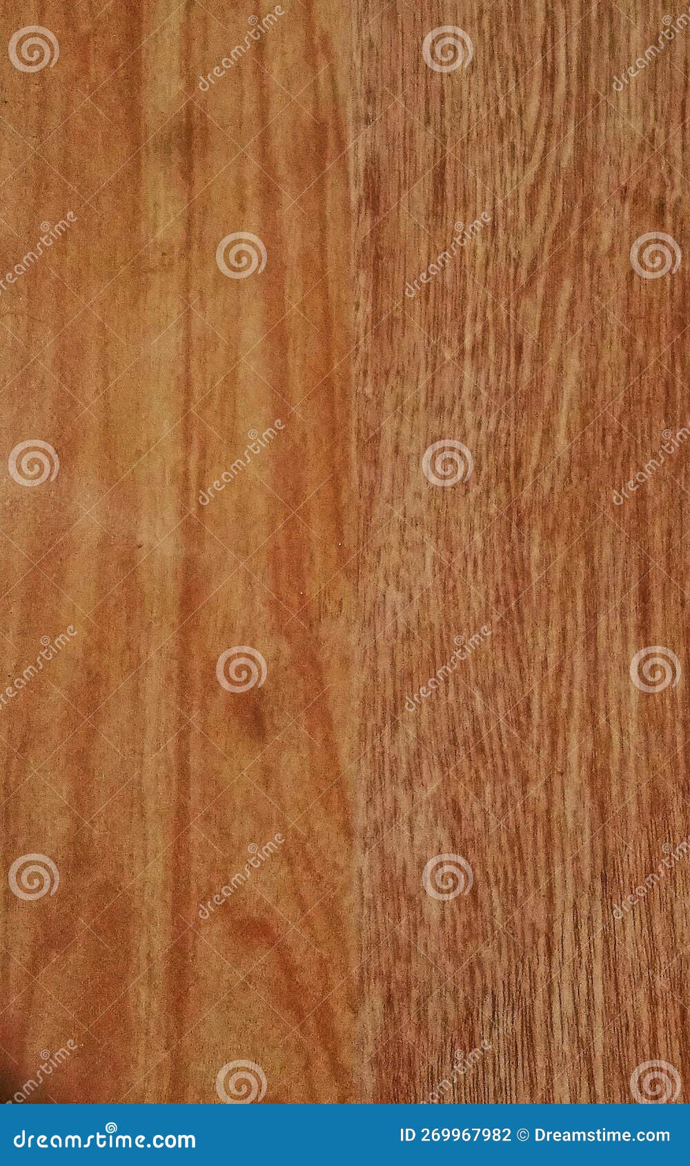 Brown teak wood texture stock photo. Image of backgroud - 269967982