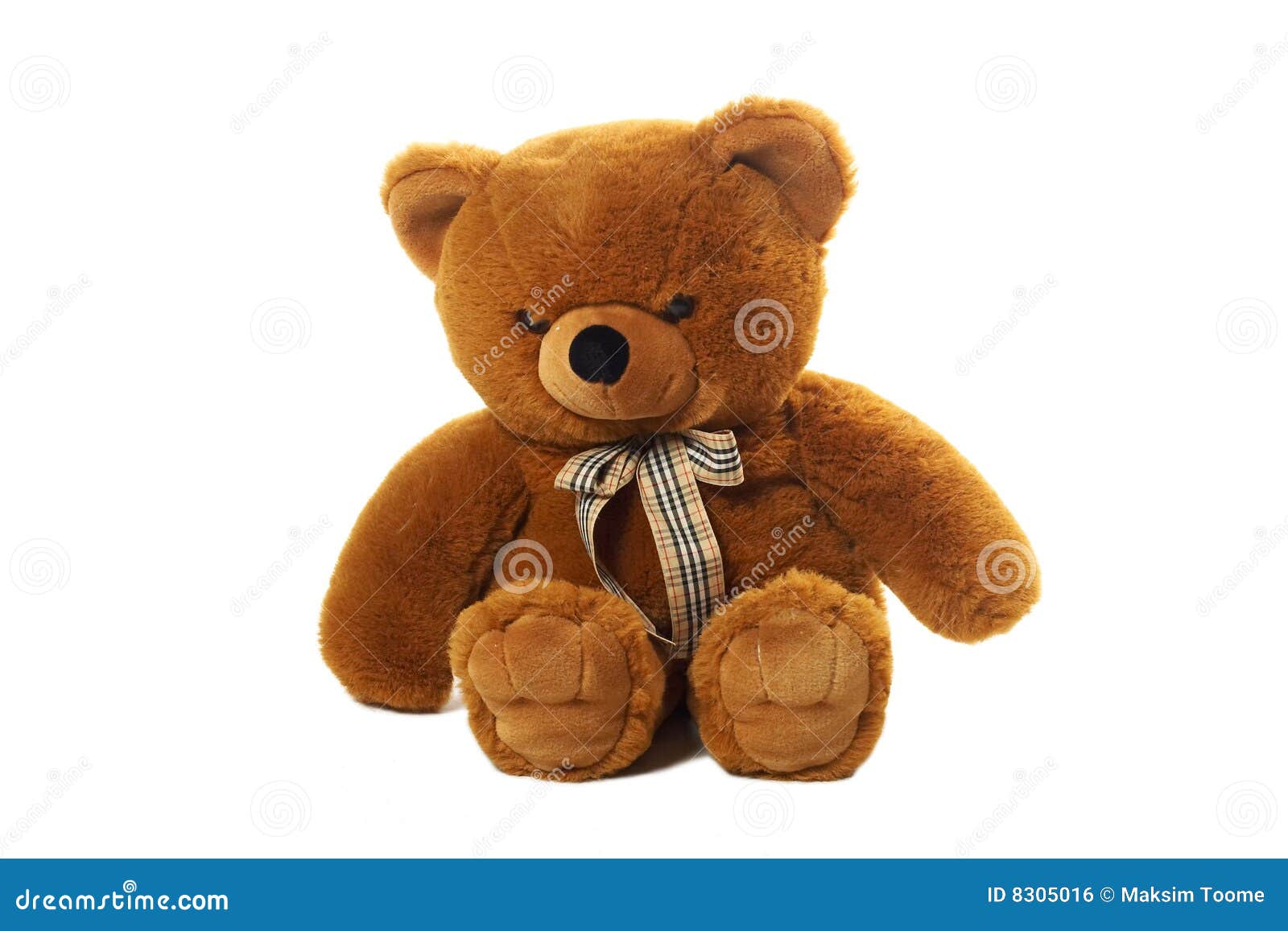 Brown teddy bear stock photo. Image of gift, present, plush - 8305016