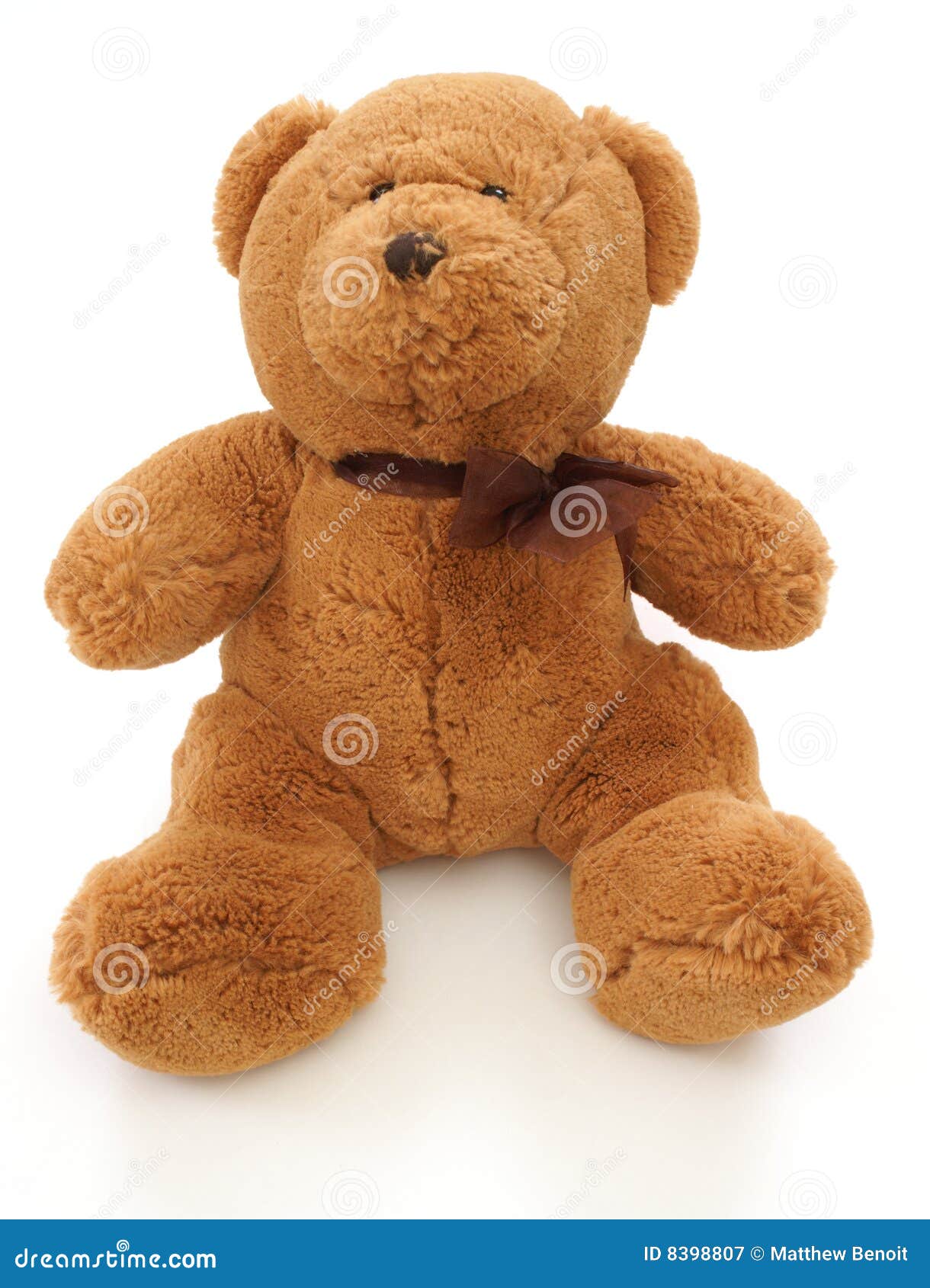 Brown Teddy Bear In Wedding Dress With A Hot Coffee Mocha In Pastel ...