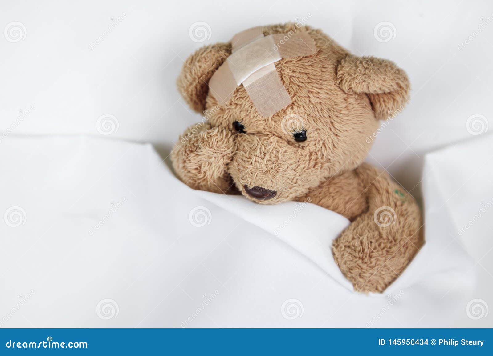 Poor Sick Teddy stock photo. Image of hospital, painful - 145950434