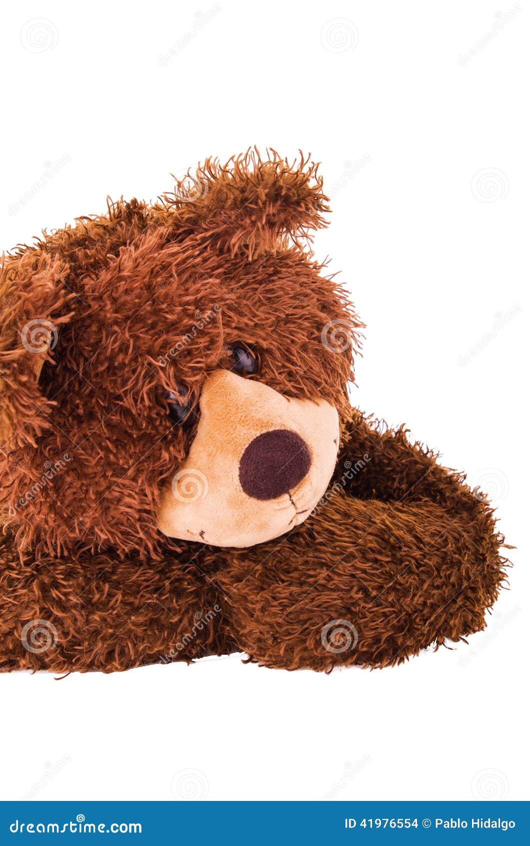 Brown Teddy Bear Face Closeup Stock Photo - Image of isolated, love ...
