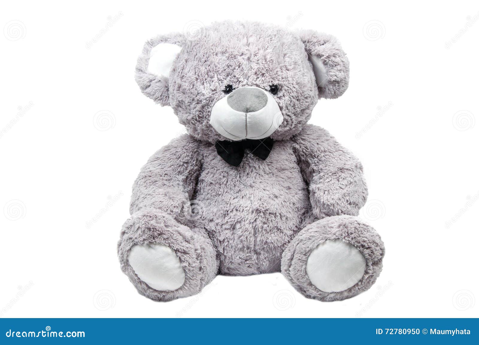 Brown teddy bear isolated stock photo. Image of stuffed - 72780950