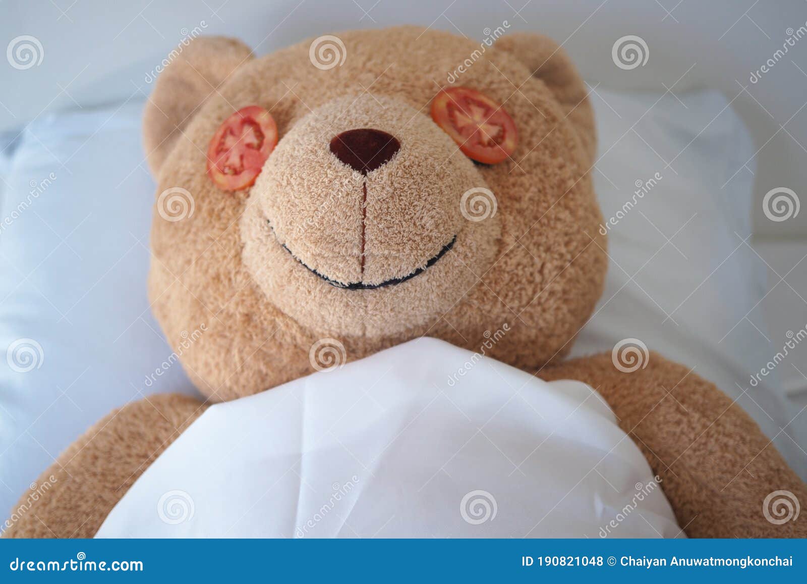 Brown Teddy Bear, Relax from the Process of Spa Eye Mask with Tomatoes ...