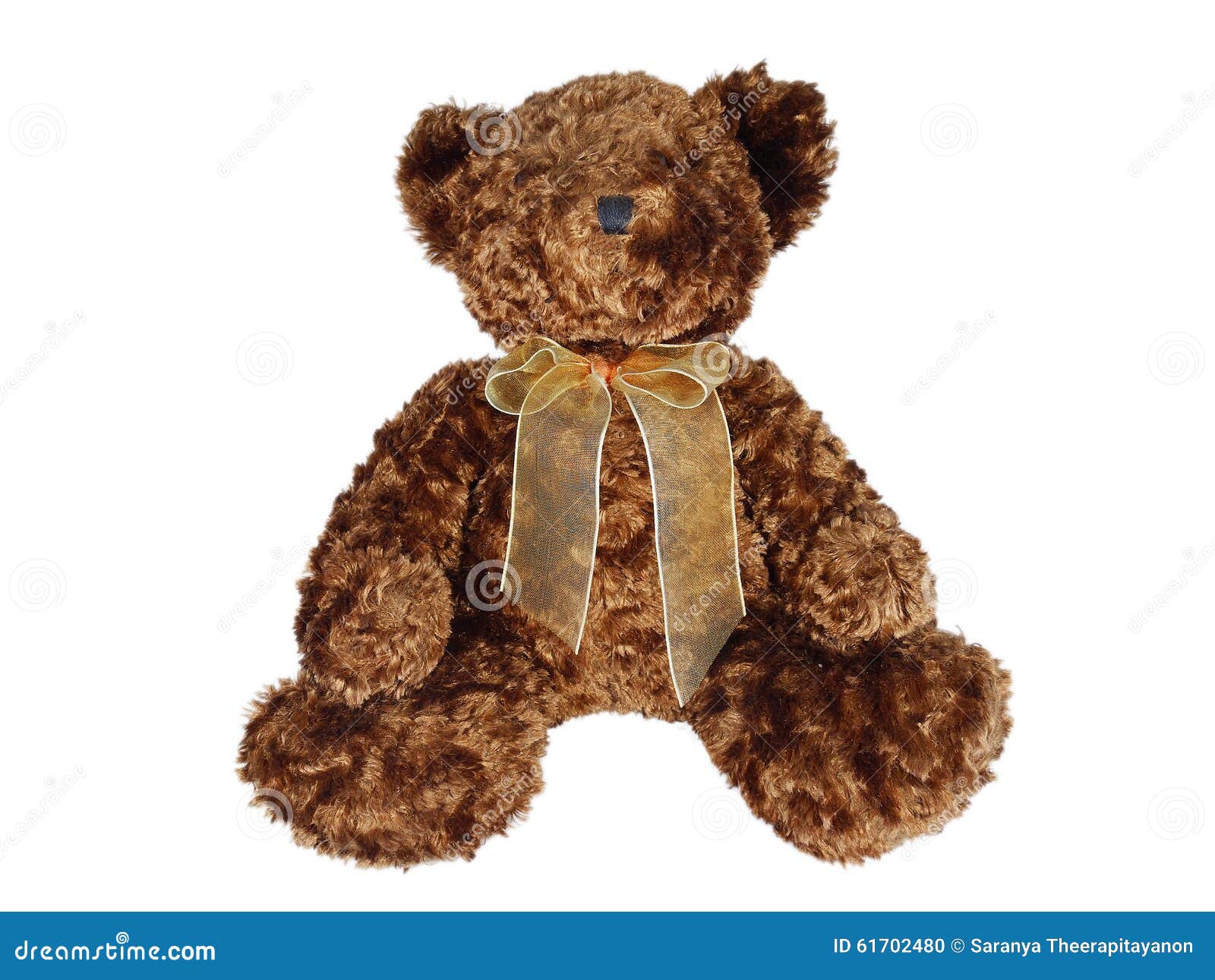 Brown Teddy Bear with Ribbon Stock Photo - Image of ribbon, single ...