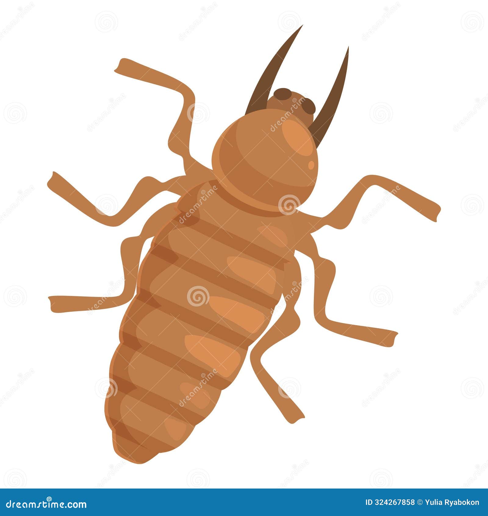Bug With Six Legs And Two Antennas Is Crawling Vector Illustration ...