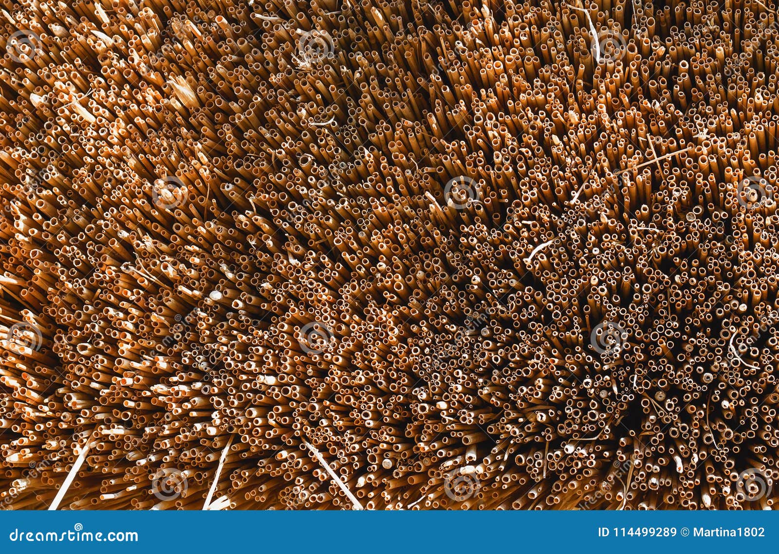 Texture of Dried Small Straw Branches Stock Image - Image of raise ...