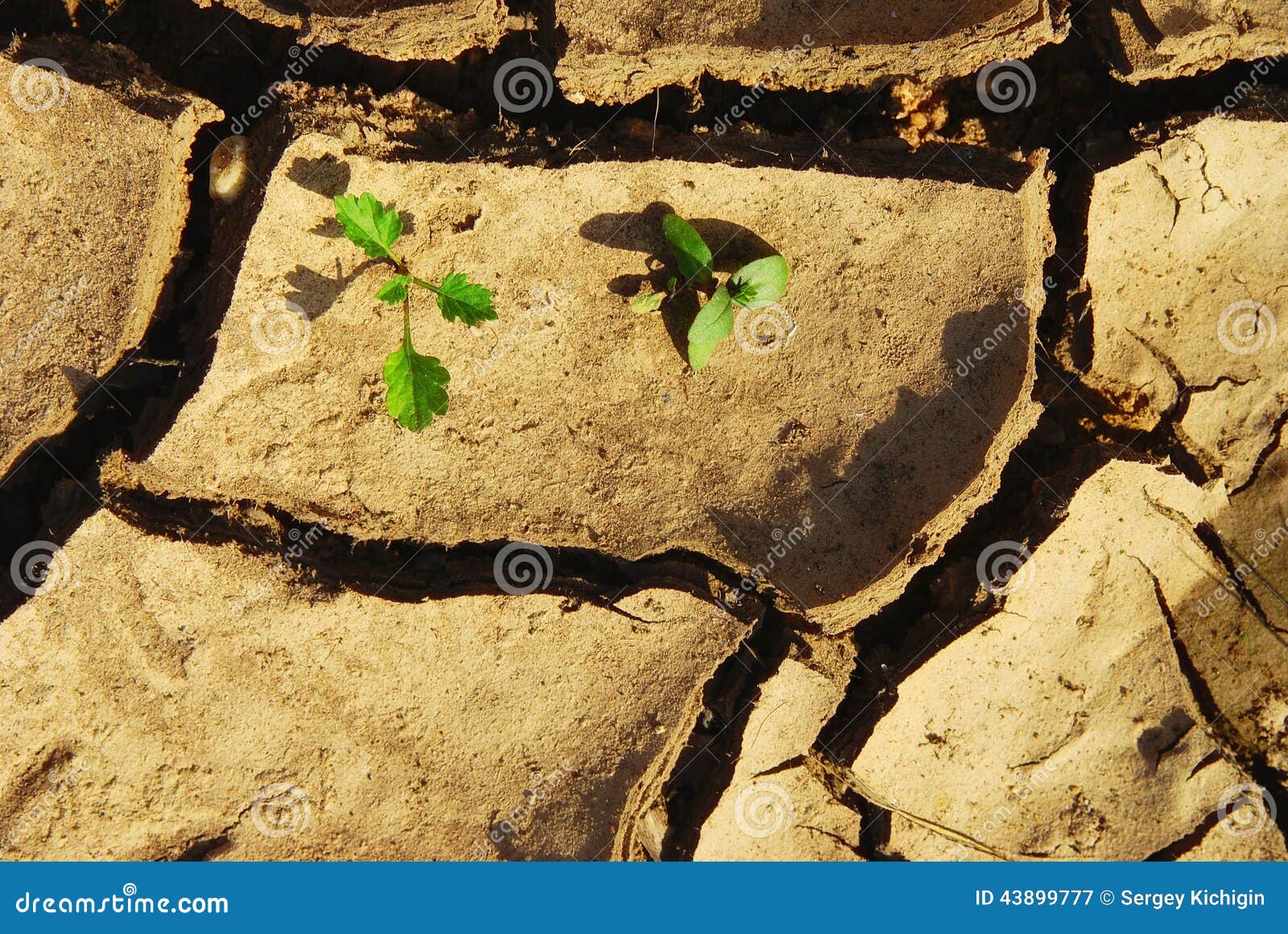 Brown Texture of Dry Land, Drought Stock Image - Image of cracked ...