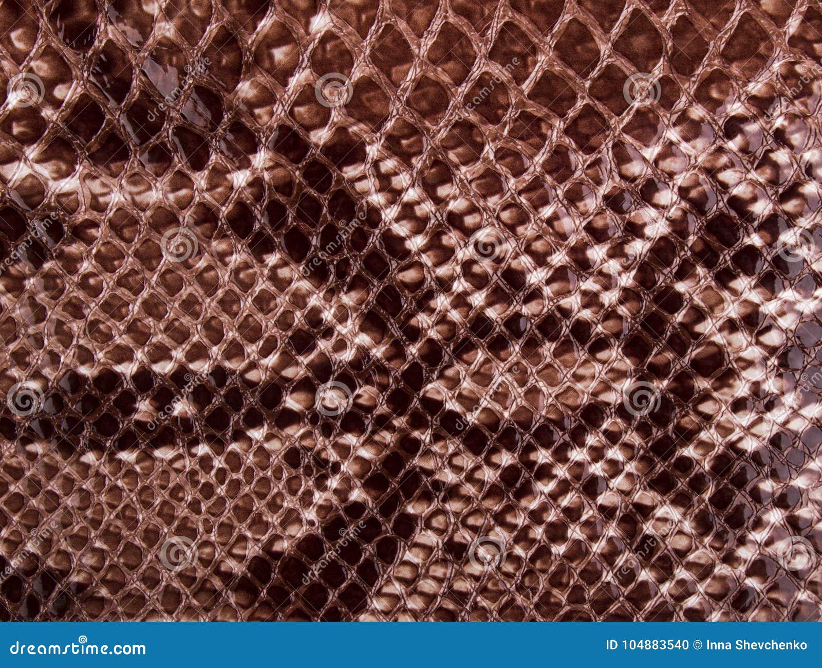 Brown Texture of the Skin of the Adder Stock Photo - Image of ...