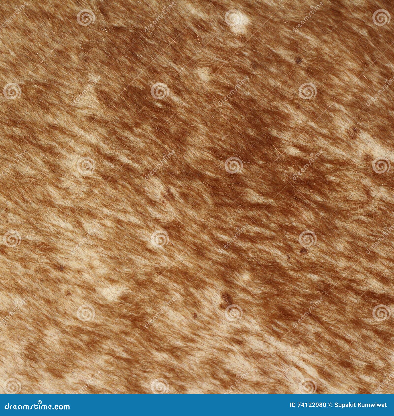 Brown textured cowhide stock photo. Image of furry, detail - 74122980