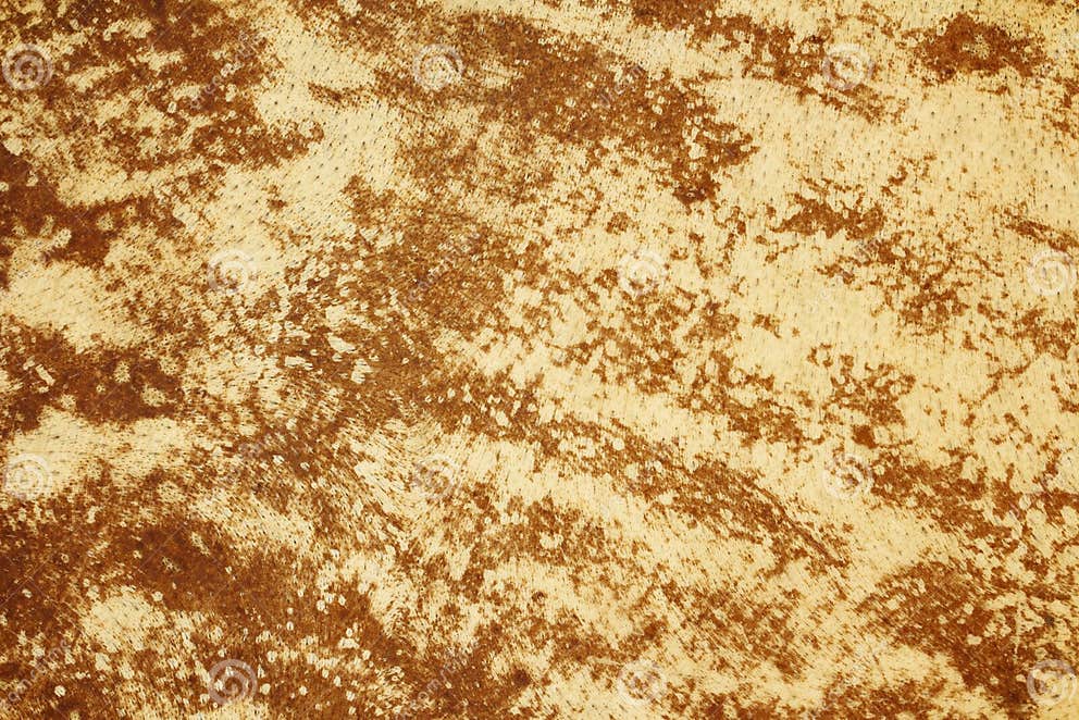 Brown textured cowhide stock image. Image of livestock - 84207859