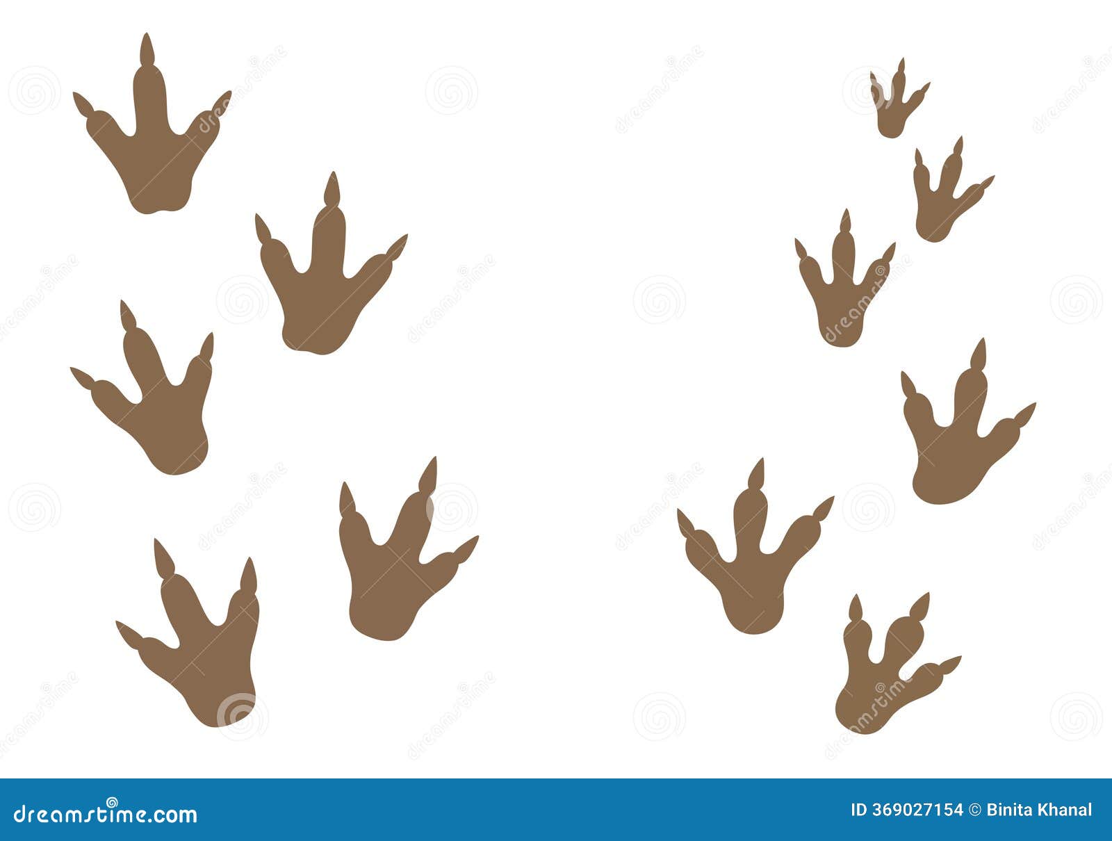 Dinosaur Footprints Vector Isolated On White Background Stock Image ...