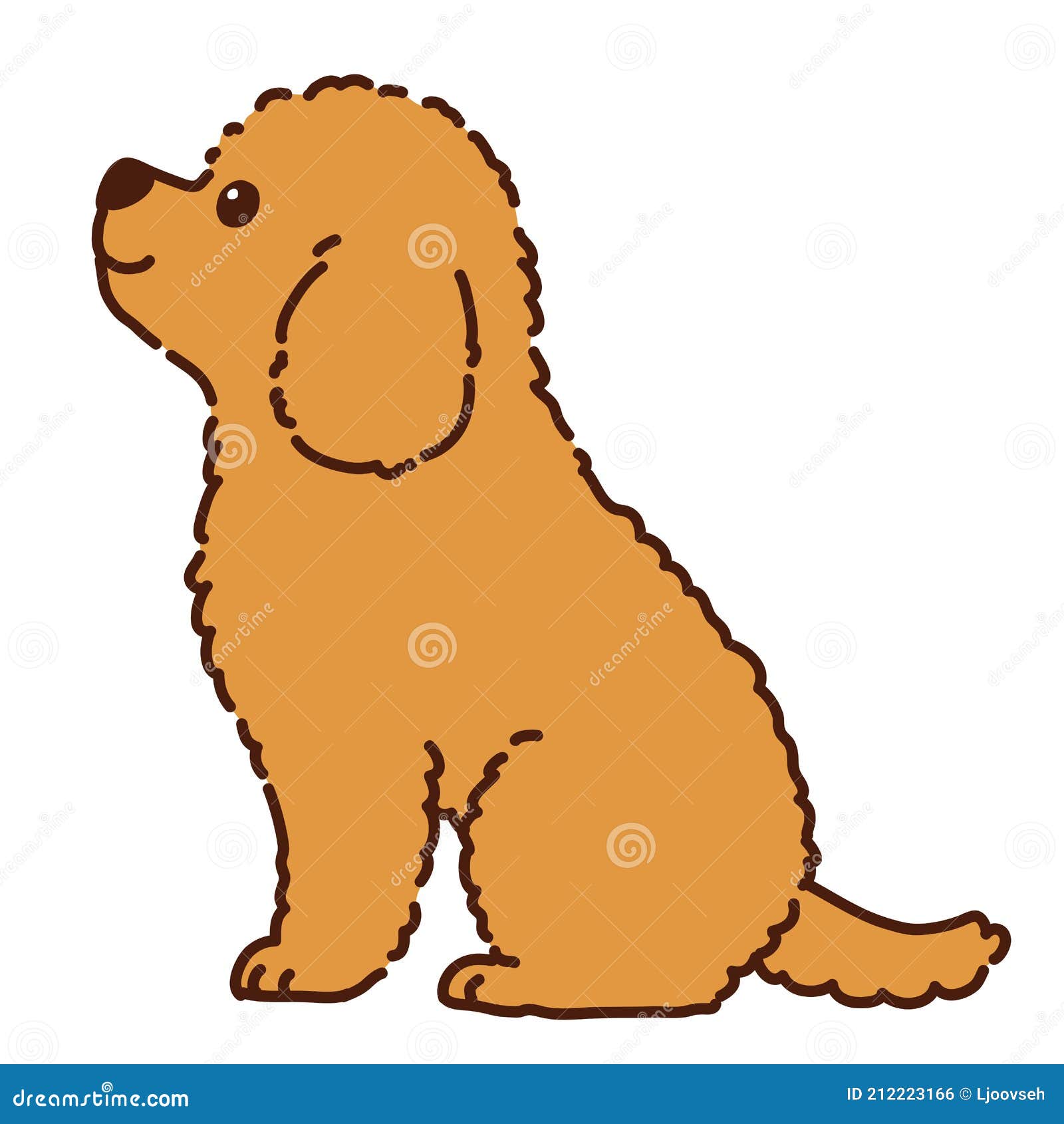 Brown Toy Poodle Puppy Sitting Side View Stock Vector - Illustration of ...