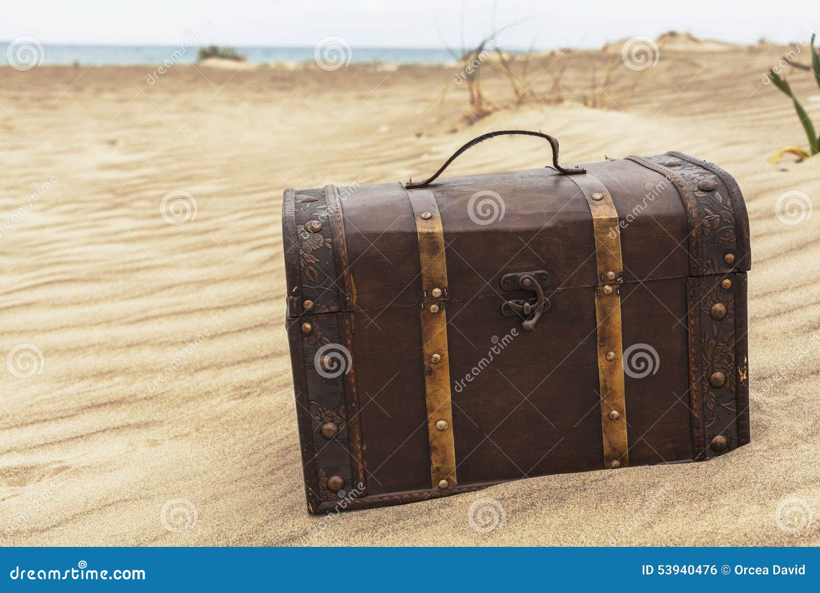Brown Treasure stock photo. Image of beach, buried, container - 53940476