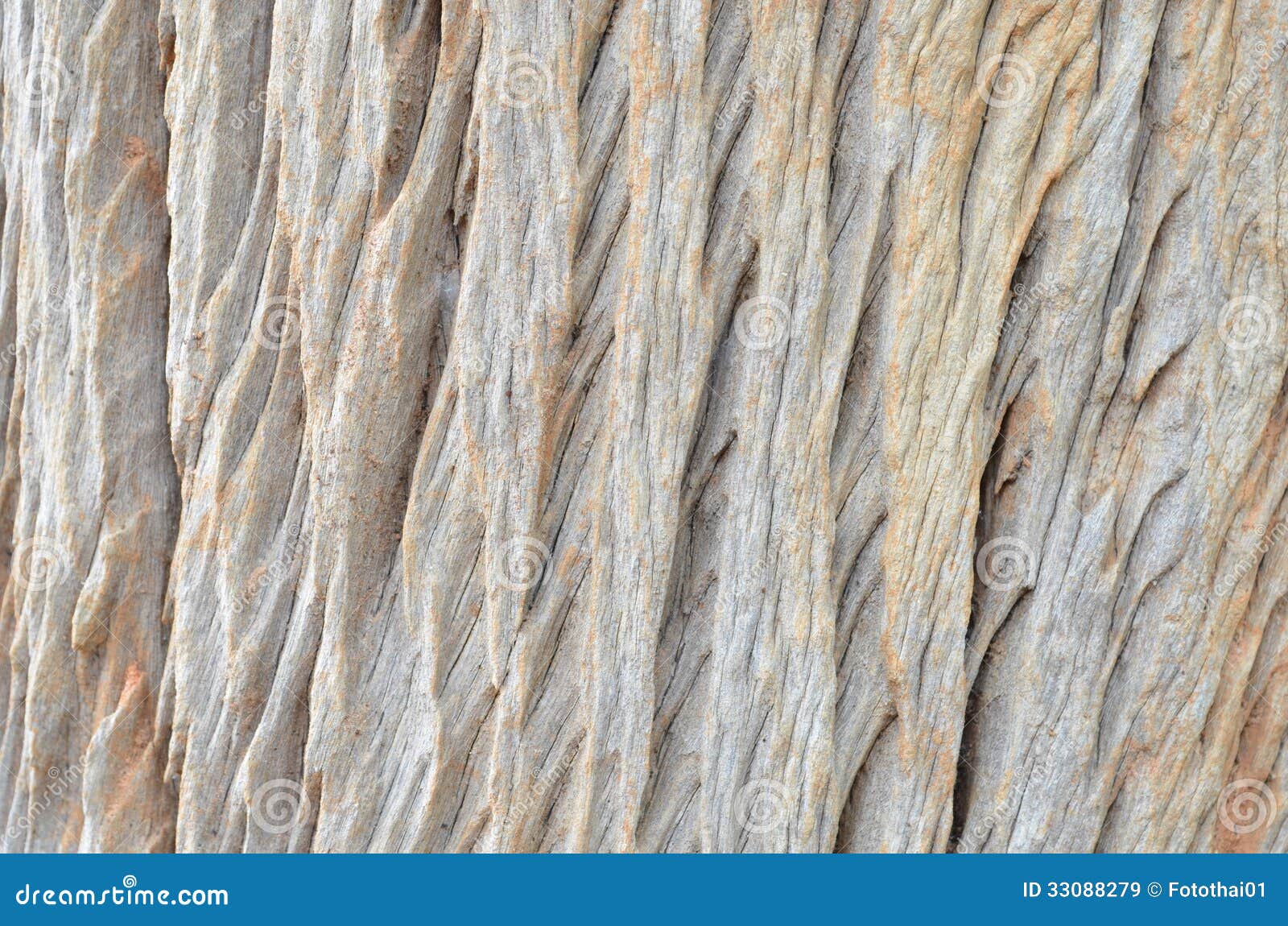 Brown tree bark. stock image. Image of trunk, timber - 33088279