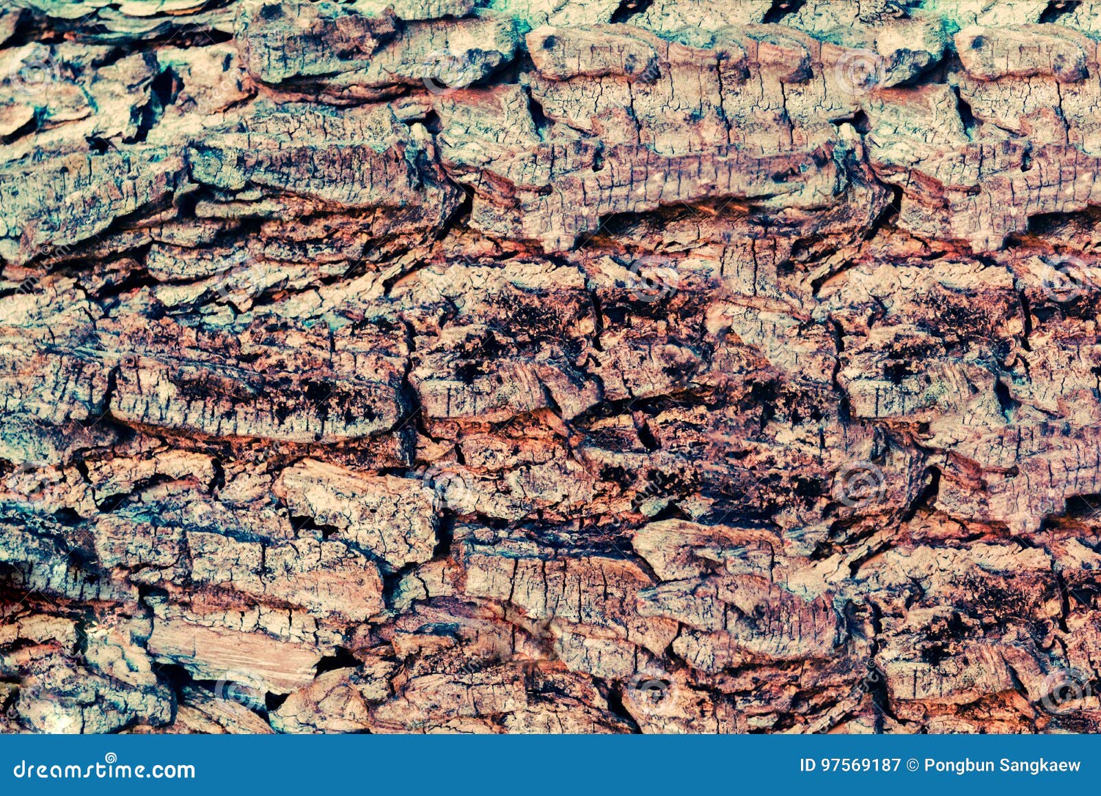 Brown Tree Bark Texture Nature Background Stock Image - Image of ...