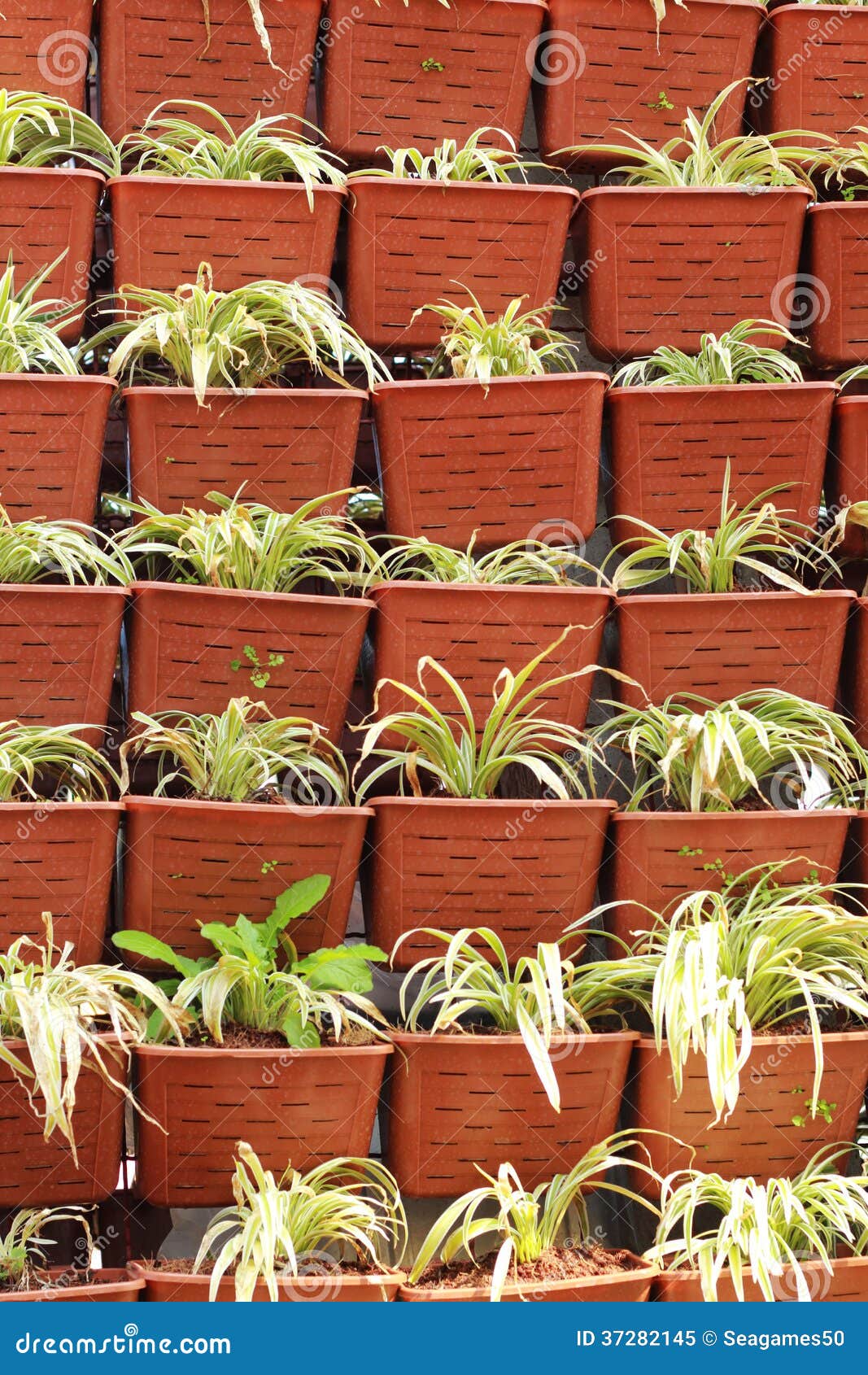 Brown Tree Pots Stacked Set a High Stock Image - Image of potted ...
