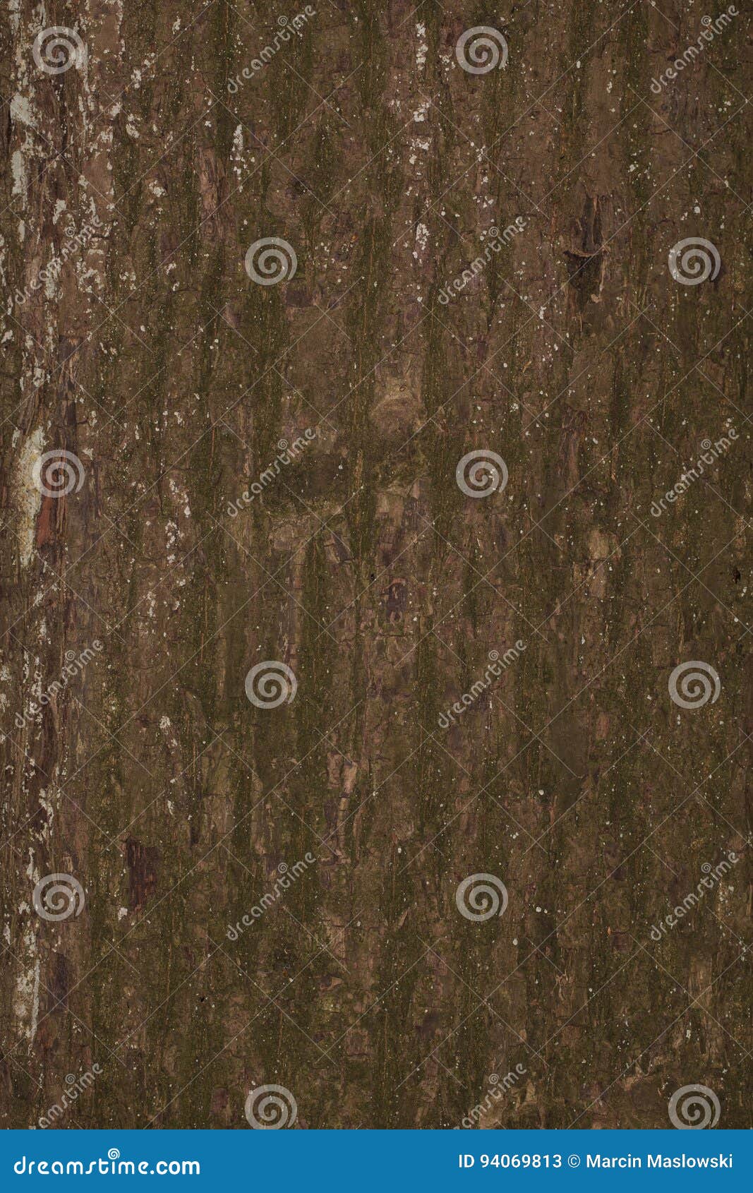 Brown Tree Trunk Background Texture Stock Image - Image of dirty, peel ...