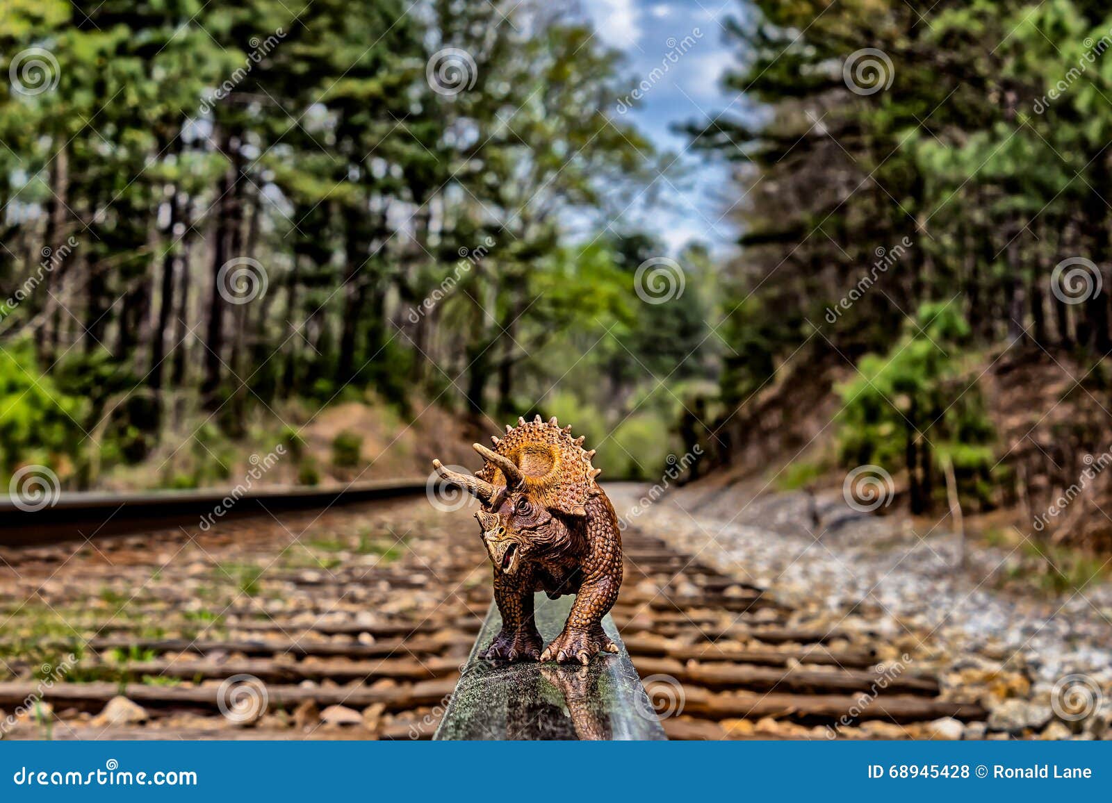 Brown Triceratops Dinosaur Walking on Railroad Tracks Stock Photo ...