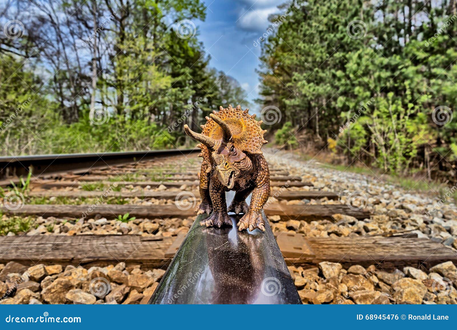 Brown Triceratops Dinosaur Walking on Railroad Tracks Stock Photo ...