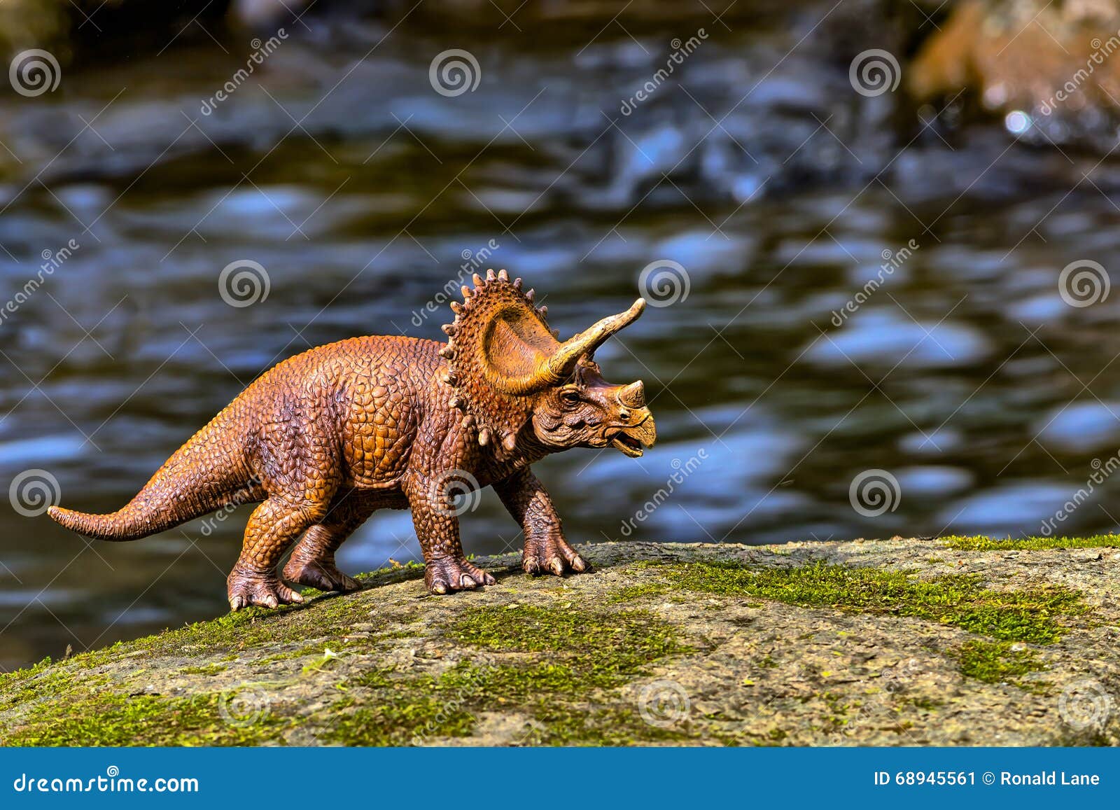 Brown Triceratops Dinosaur Walking With Water In The Background Stock ...