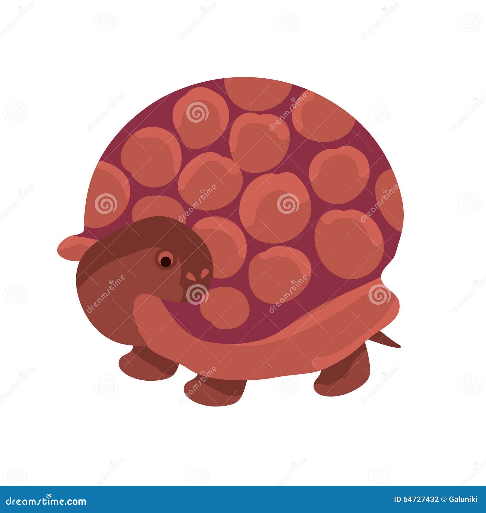 Brown turtle stock vector. Illustration of wild, animal - 64727432