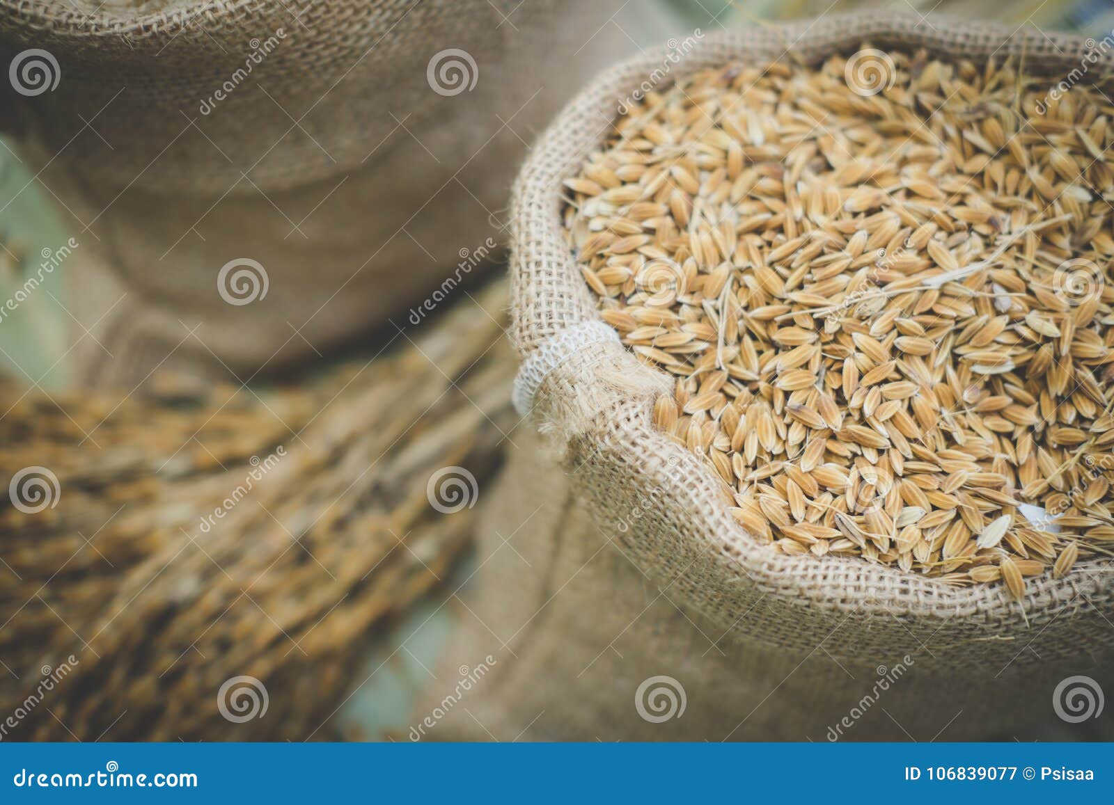 Brown Grain Rice in Burlap Sack Bag Stock Image - Image of healthy ...